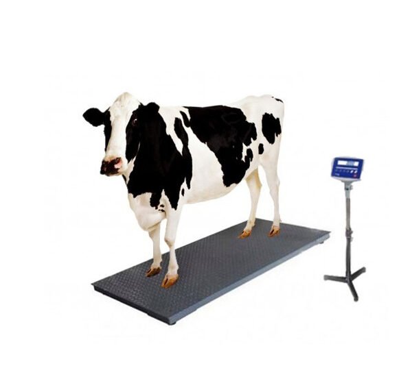 Animal Weight Scale Cow Weight Scale 2000KG sell in bd