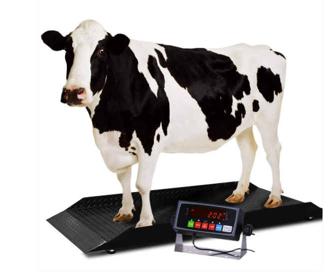 Agro Weight Scale Cow buffalo Goat Price In Bangladesh